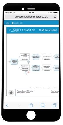 How To Maximise Value in Your Process Maps Using the Triaster Platform
